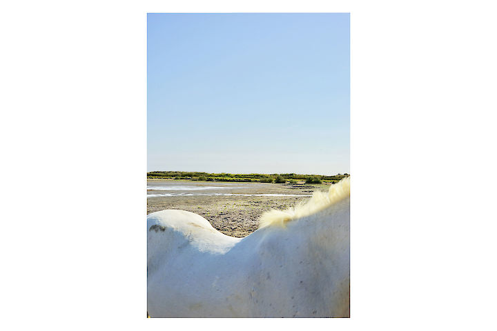 Editions – Alexandra Kolb Editions