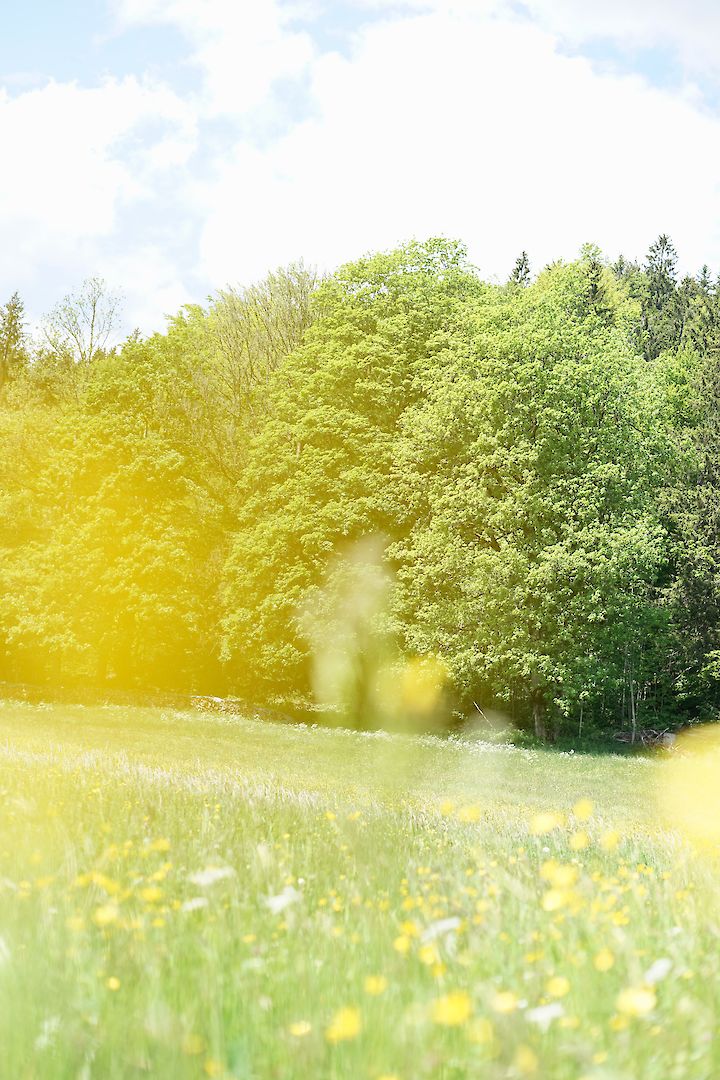 Editions – Alexandra Kolb Editions